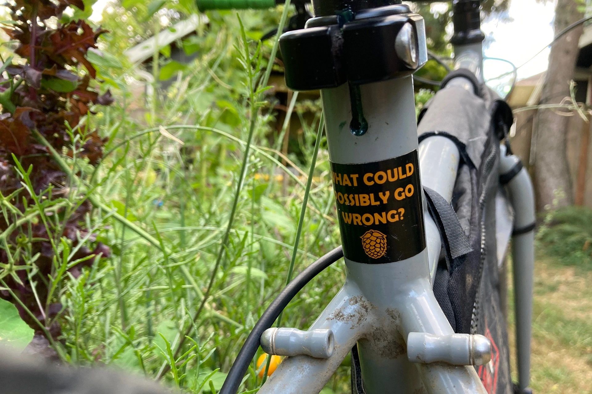 About A Single-Speed: Chris' Karate Monkey